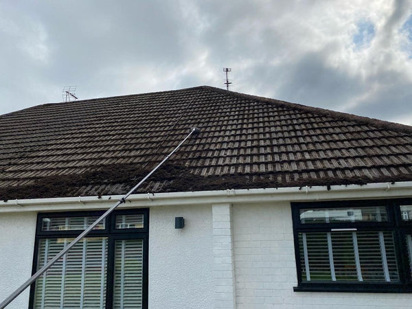 Roof Scraper: Telescopic Roof Moss Scraper - Moss Removal Tool