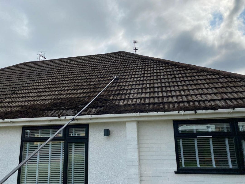Roof Scraper: Telescopic Roof Moss Scraper - Moss Removal Tool